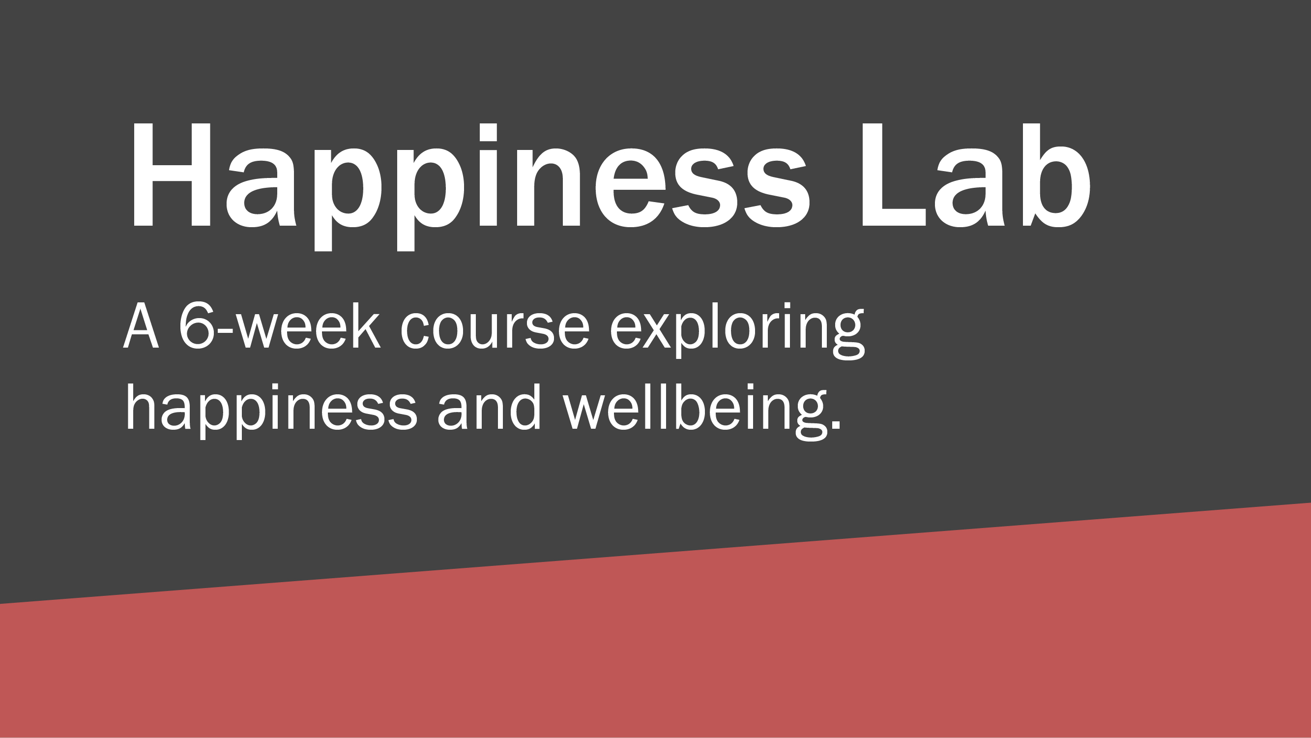 The Happiness Lab – The Ugly Duckling Charity Shop